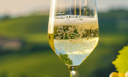 Vendita dei Migliori Vini Online | Enoteca Esselunga